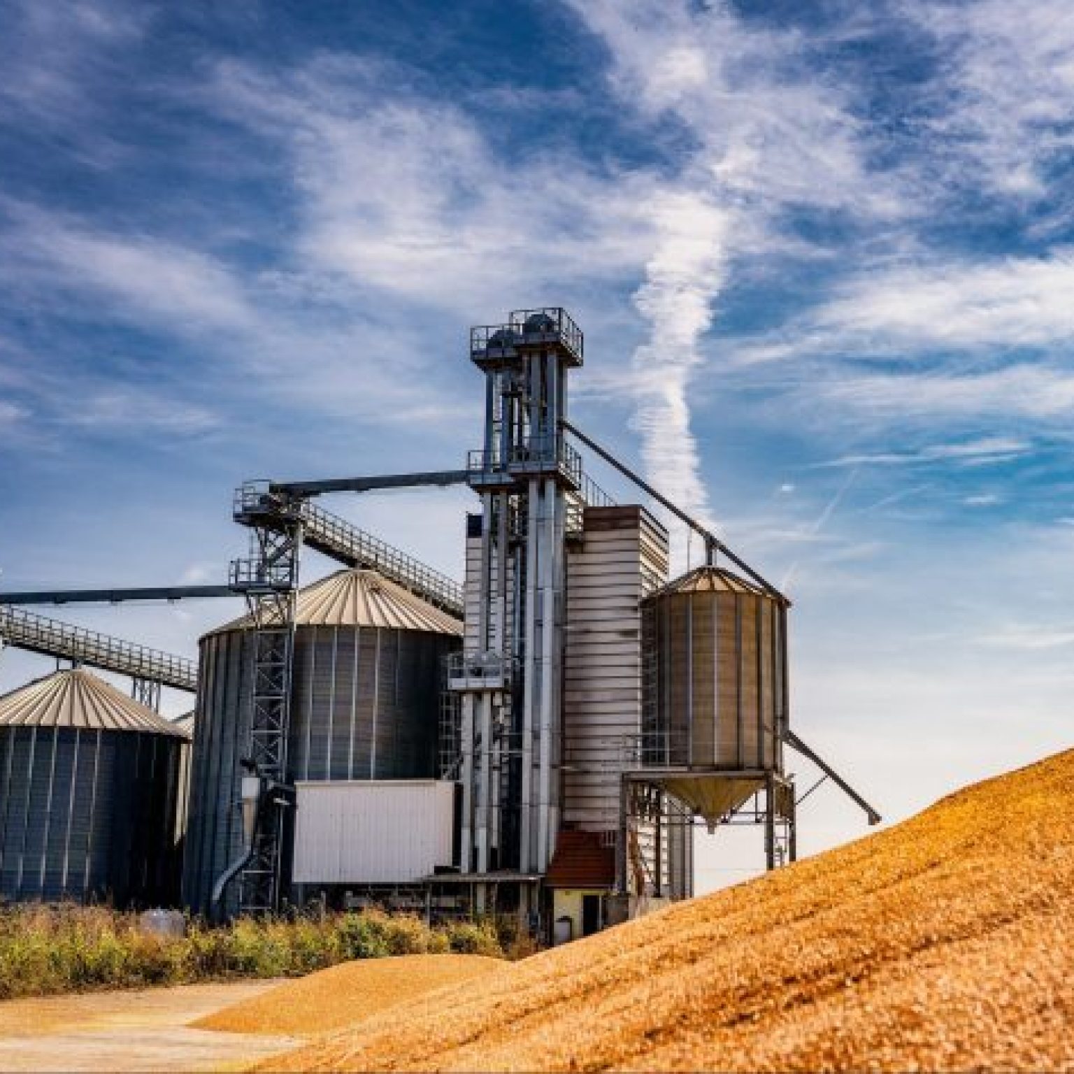 grain silo operation with silo storage issues - Mole•Master Services ...